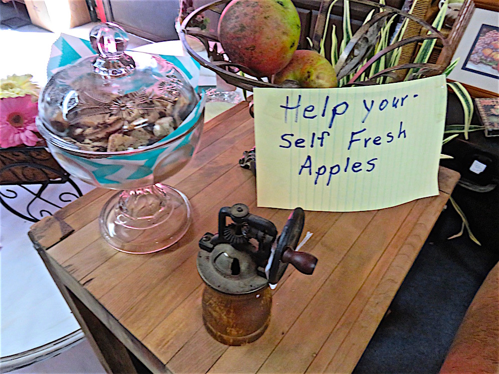 Zombie Apples | lifelessons – a blog by Judy Dykstra-Brown