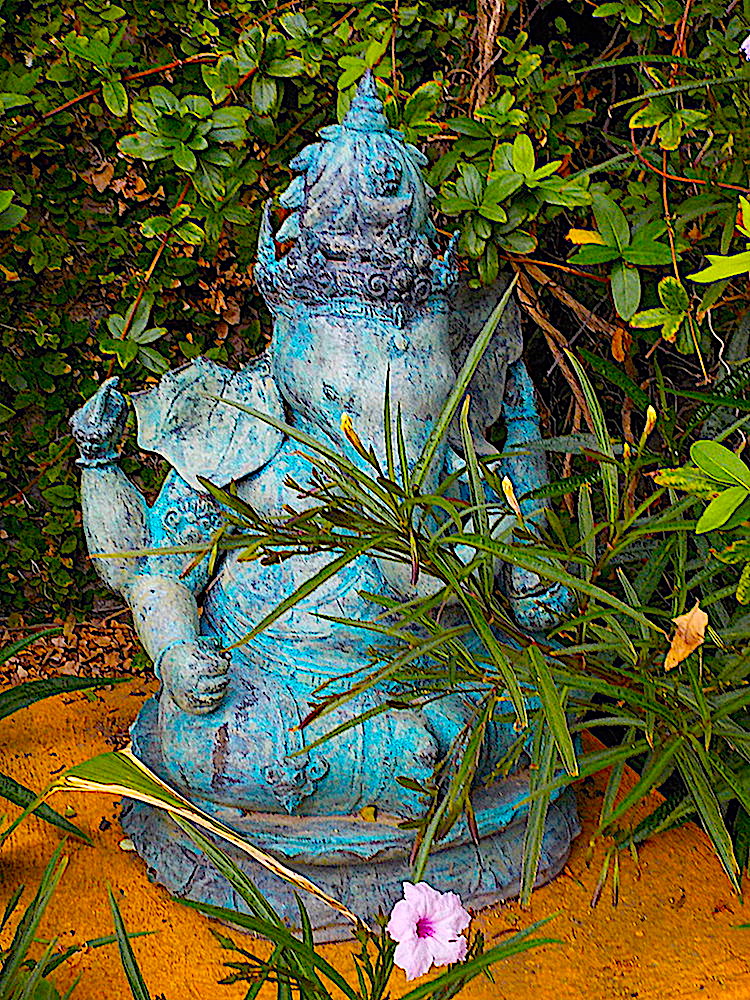 Nature’s Offering | lifelessons – a blog by Judy Dykstra-Brown