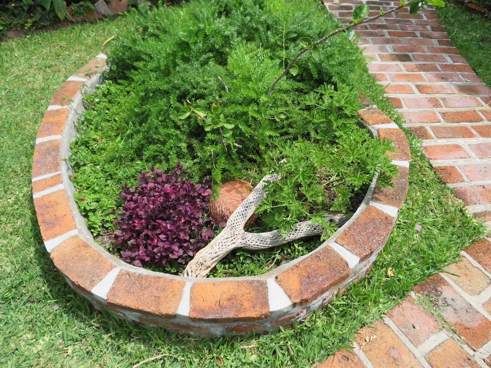 Pre-Flower Garden Collage: Flower of the Day, Sep 3, 2018 | lifelessons ...